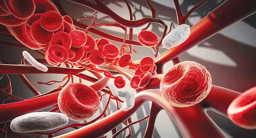 Digital morphology revolutionizing cellular analysis in hematology ...